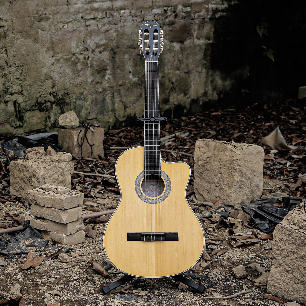 Violão Elétrico Tagima Cartagena Flat: Modelo Ideal Para Bares e ...
